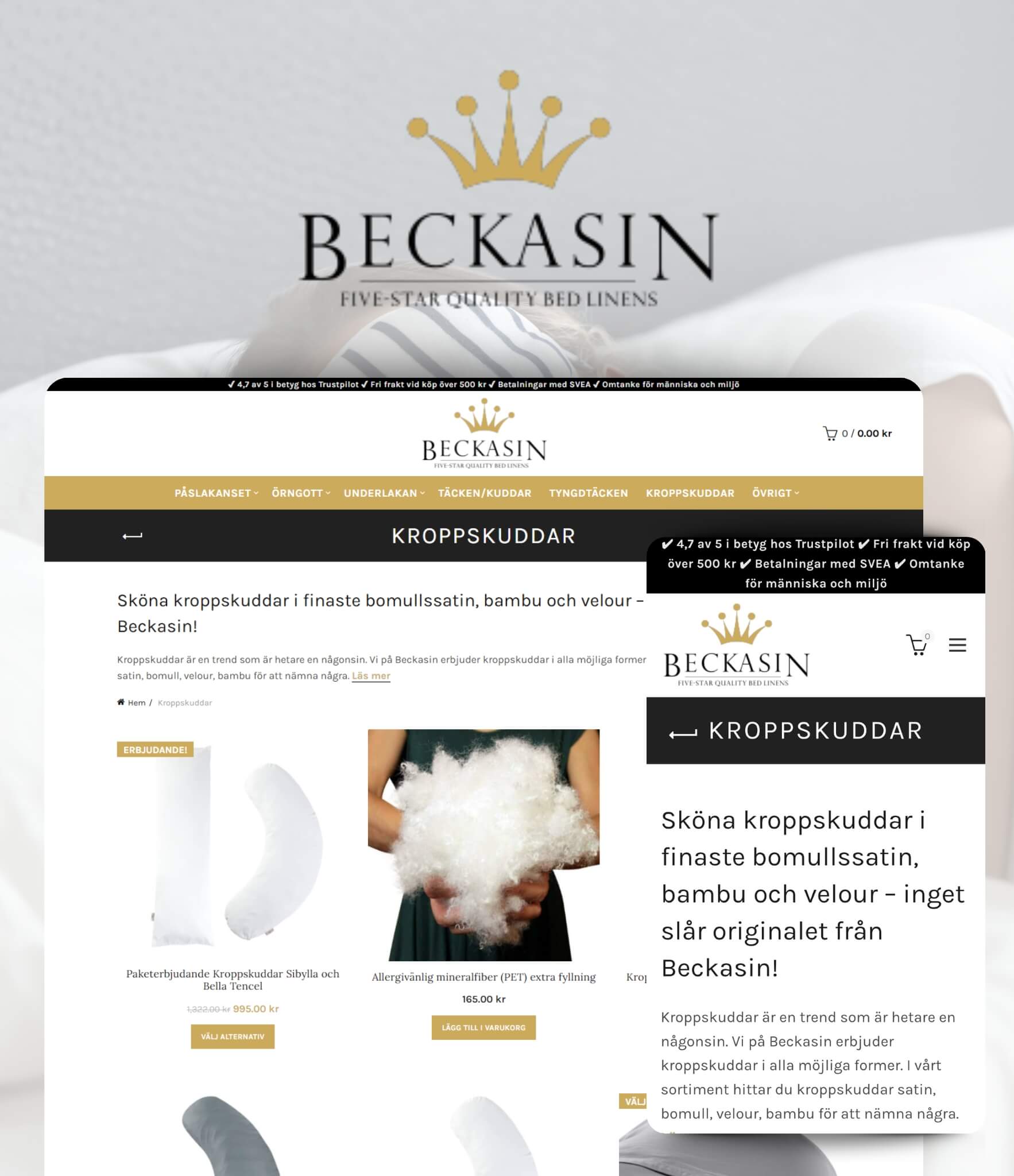 Beckasin – Ora Infotech